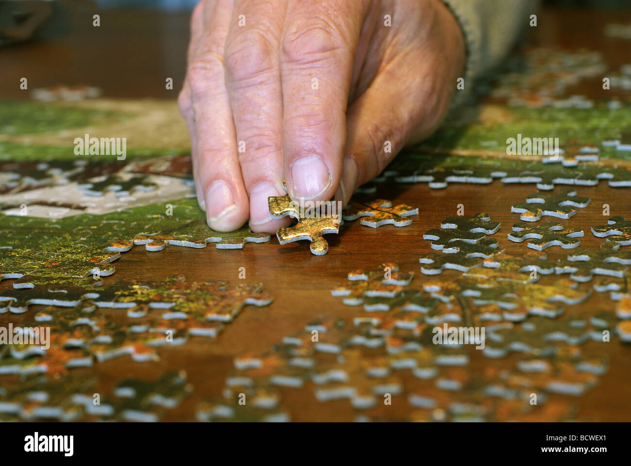 Close-up of a senior man's hand holding a jigsaw piece Stock Photo - Alamy