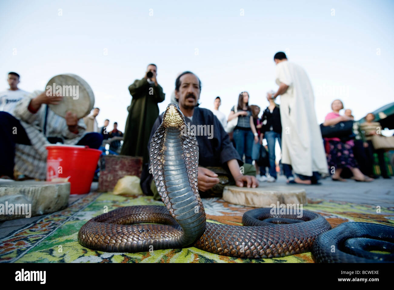 A snake charmer and his (toothless) cobra snake at Djemaa el Fna, the ...