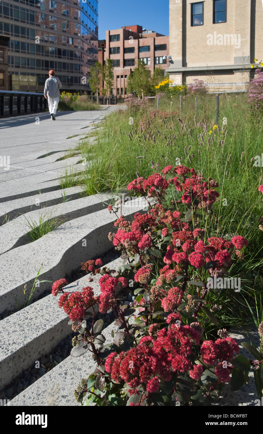 High Line Park in the Chelsea neighborhood of Manhattan Stock Photo - Alamy