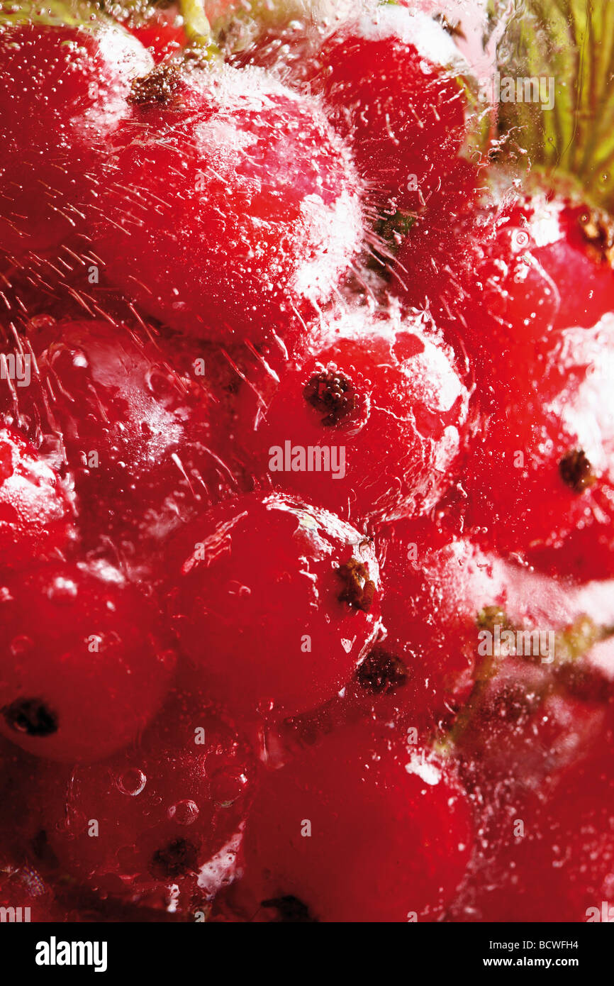 Johannisbeeren ribes redcurrant hi-res stock photography and images - Alamy