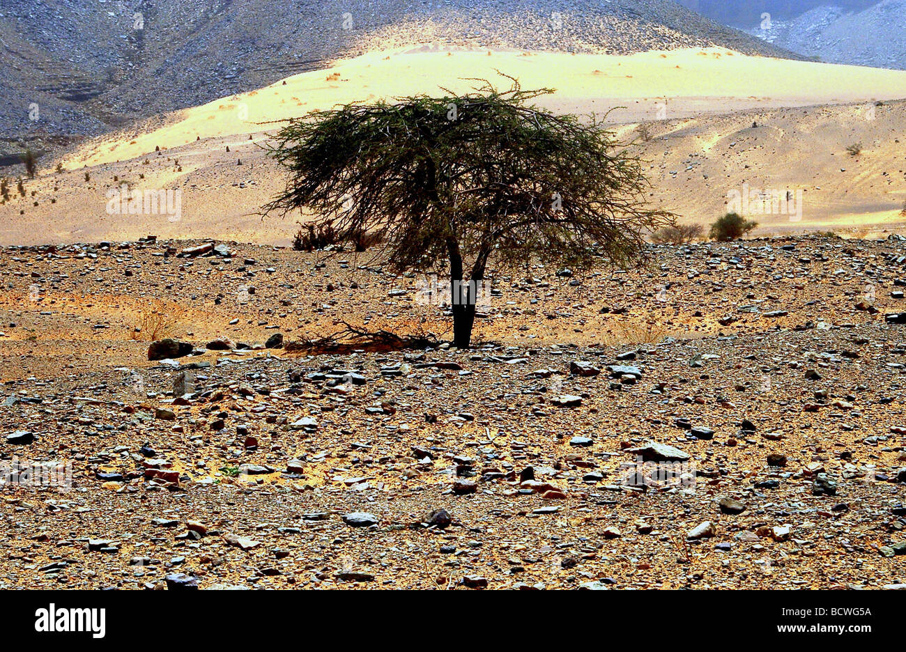 Walkadventure hi-res stock photography and images - Alamy