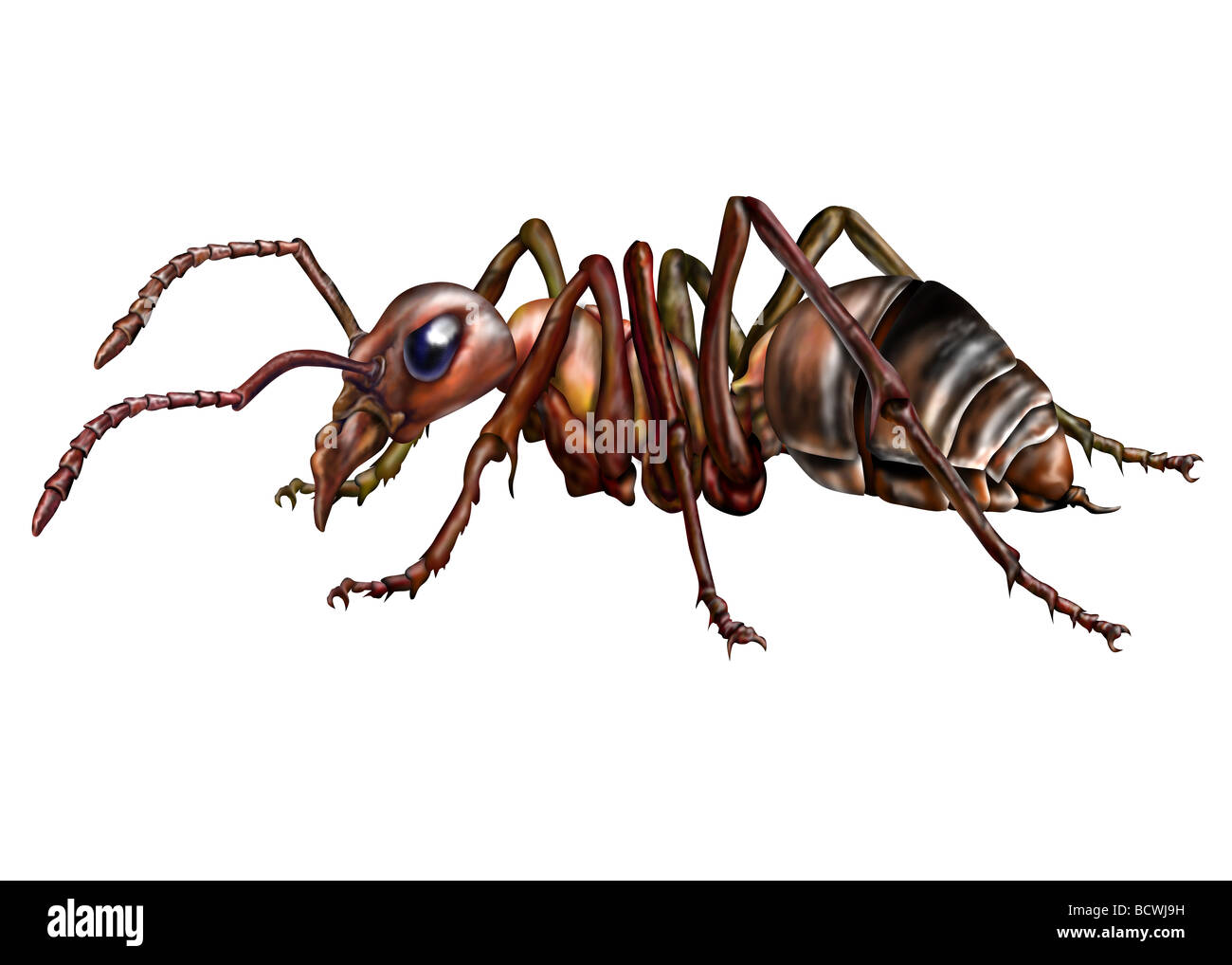Stylized illustration of a foreboding ant isolated on white Stock Photo ...
