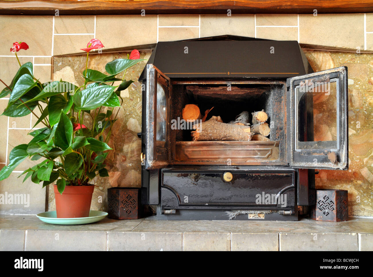 An unlit open doored fire place in a lounge, with a potted plant near ...