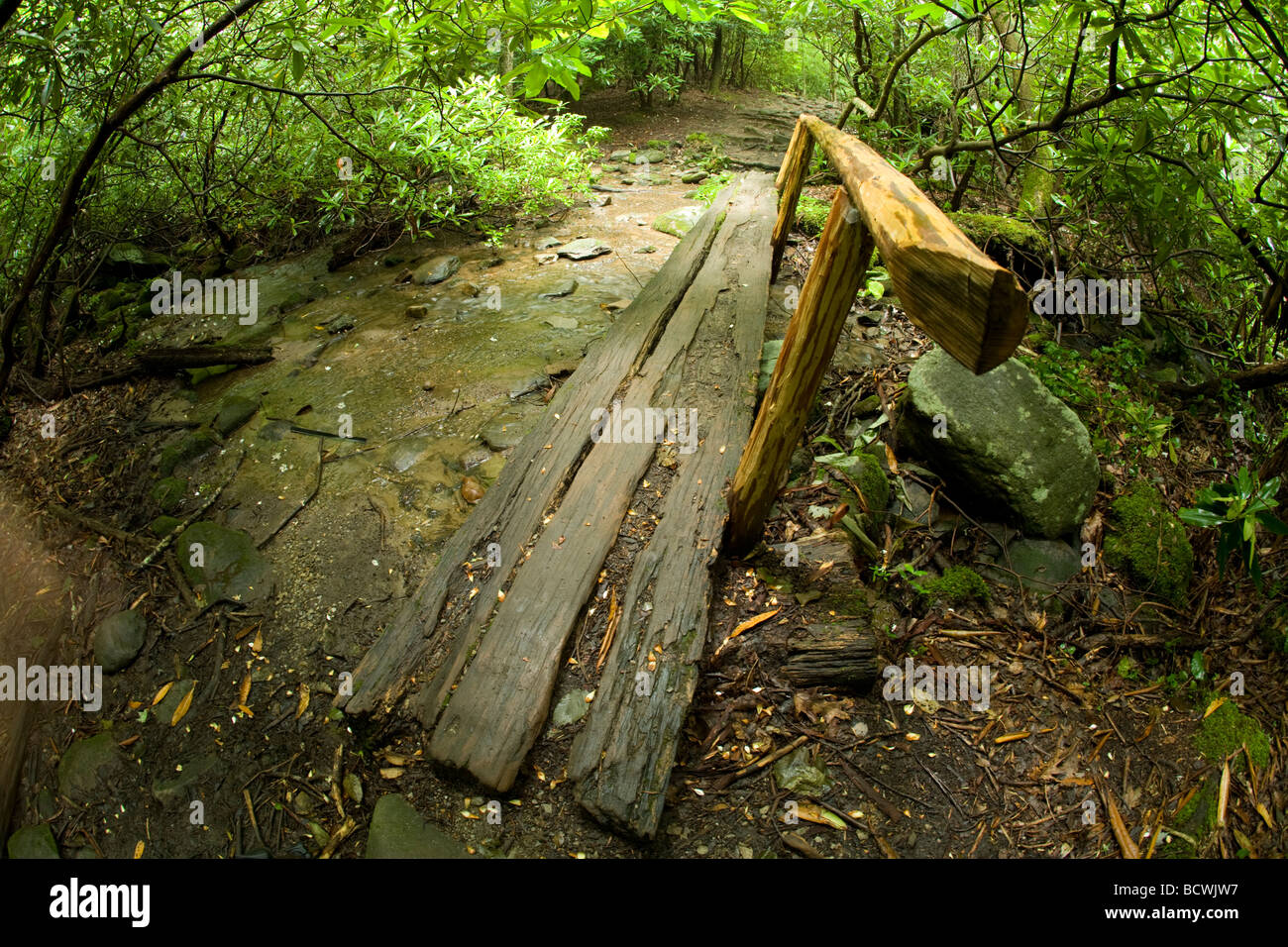 Log Footbridge Nature Trail Scenics Great Smoky Mtns Nat Park TN Stock ...