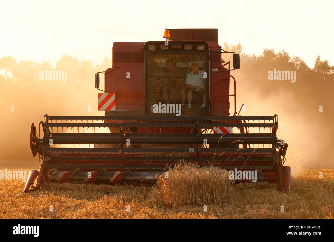 Case International 1660 combine harvester - harvesting crops and dust ...