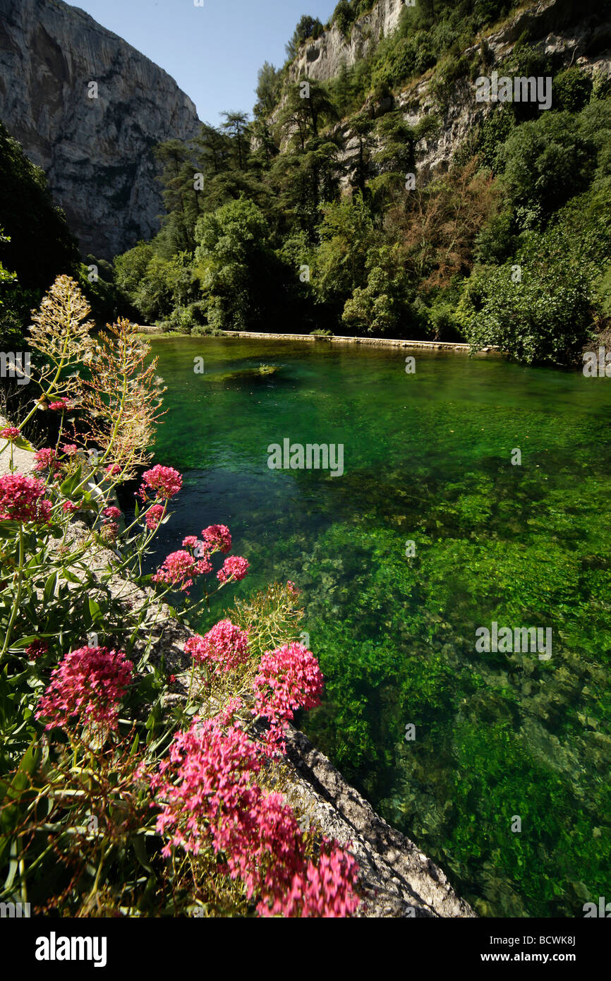 Quelle der sorgue hi-res stock photography and images - Alamy
