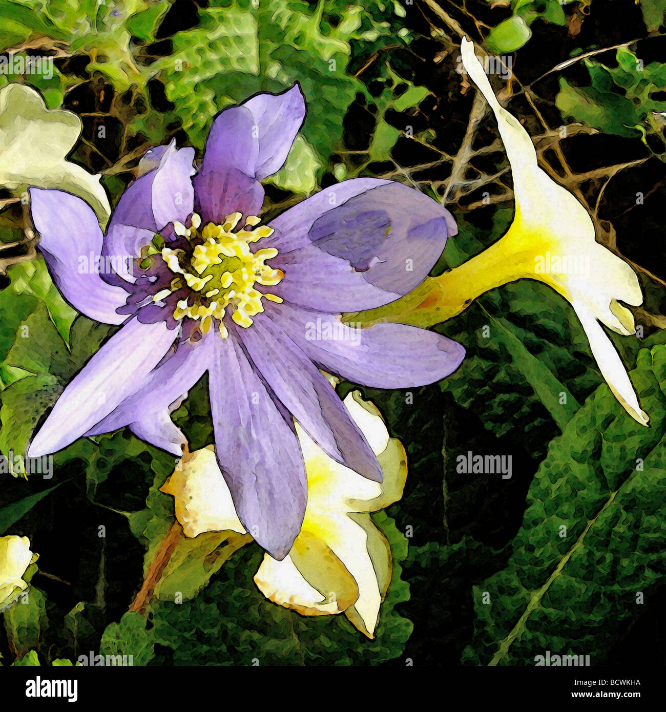 Digitally enhanced mauve flower in green background Stock Photo - Alamy