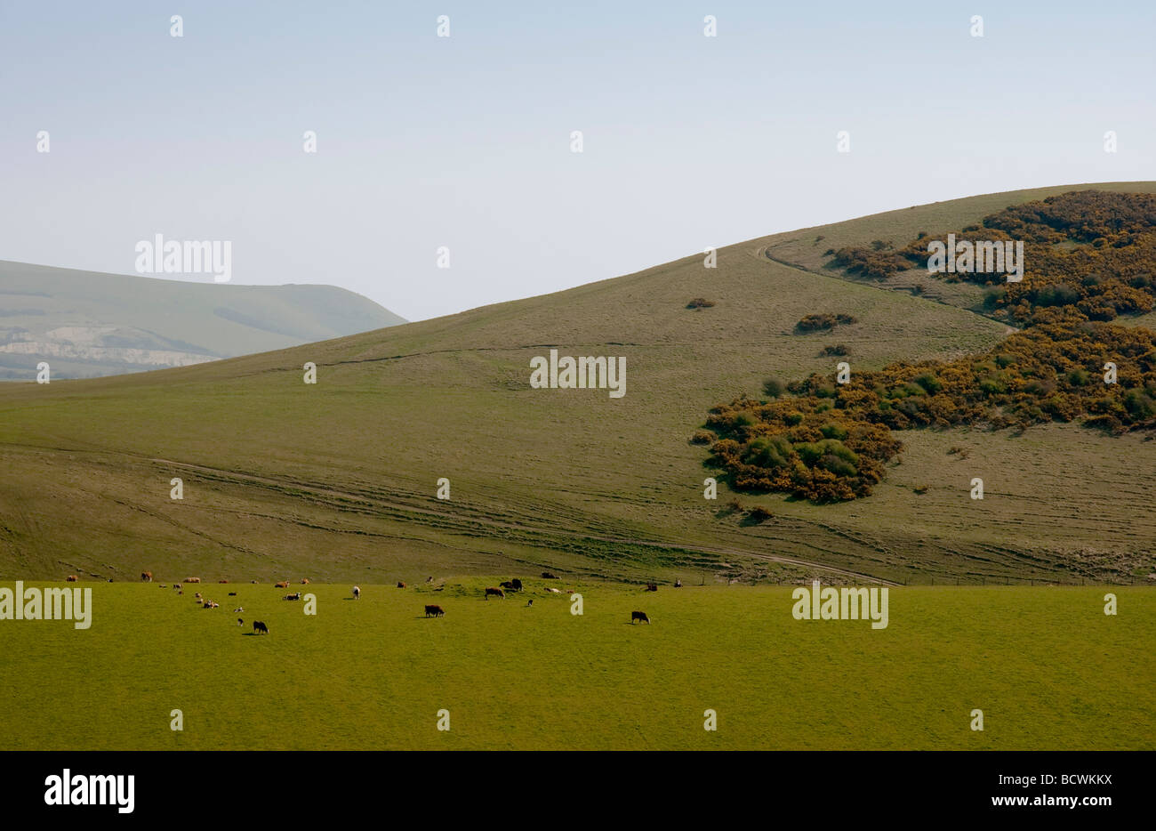View in spring across the South Downs looking towards Mount Caburn and ...