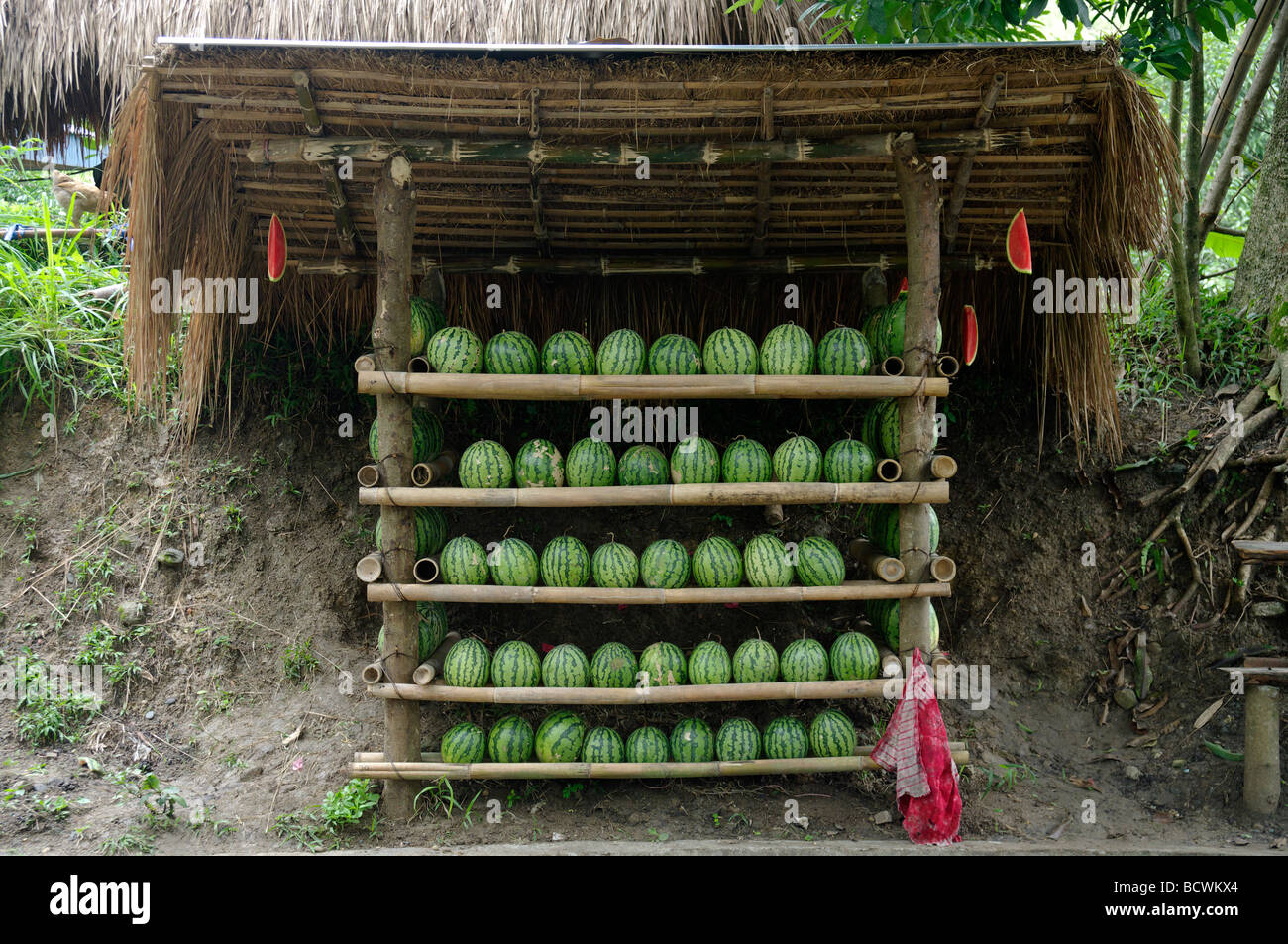 Roadside stall selling watermelons, North Luzon, Philippines Stock ...