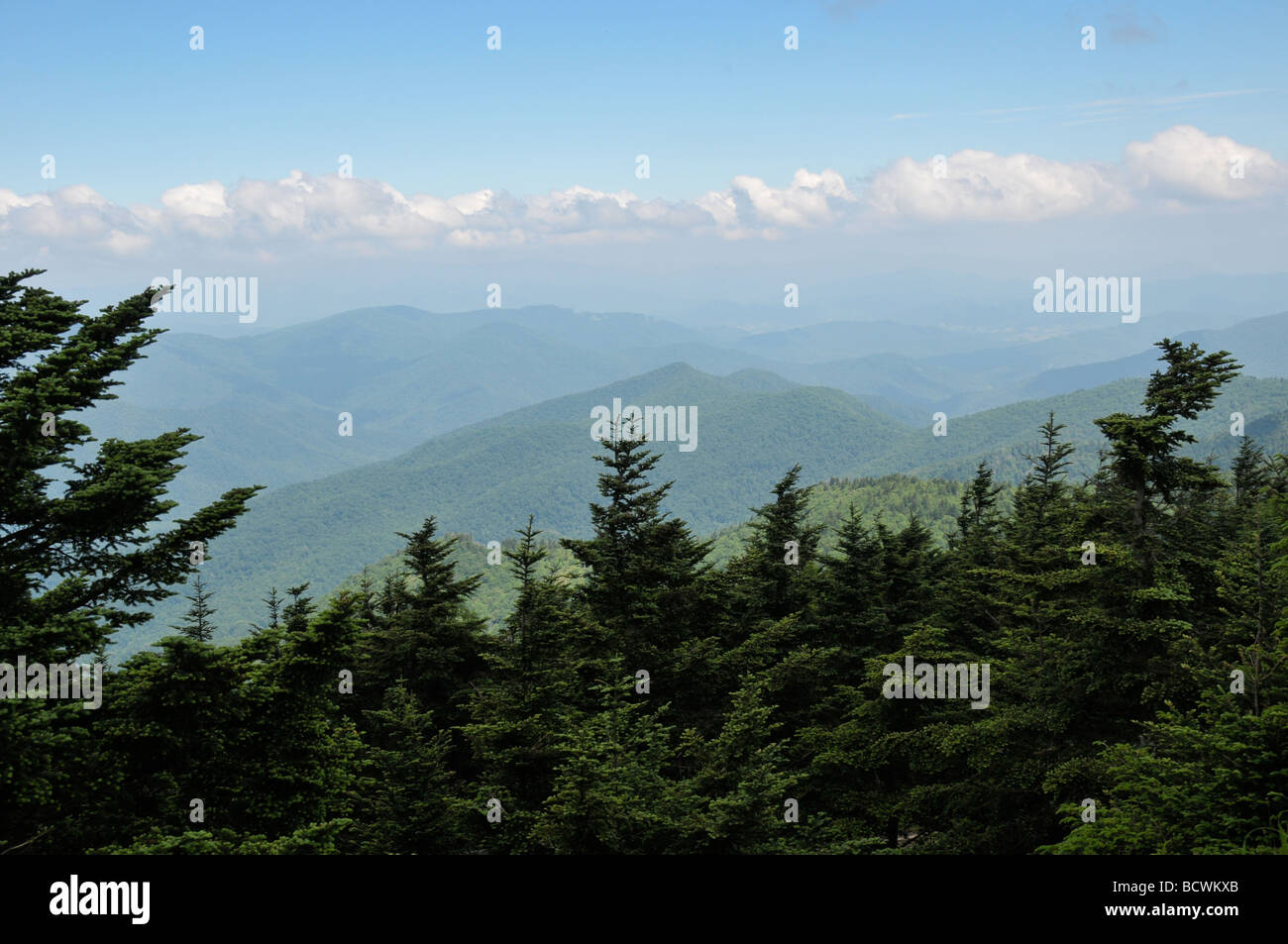 Mount mitchell in north carolina hi-res stock photography and images ...