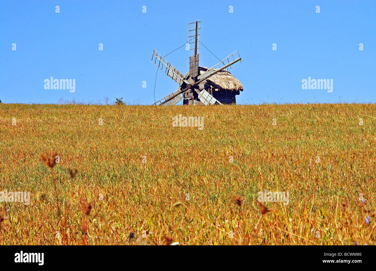 Ukrainian rural landscape wheat field hi-res stock photography and ...