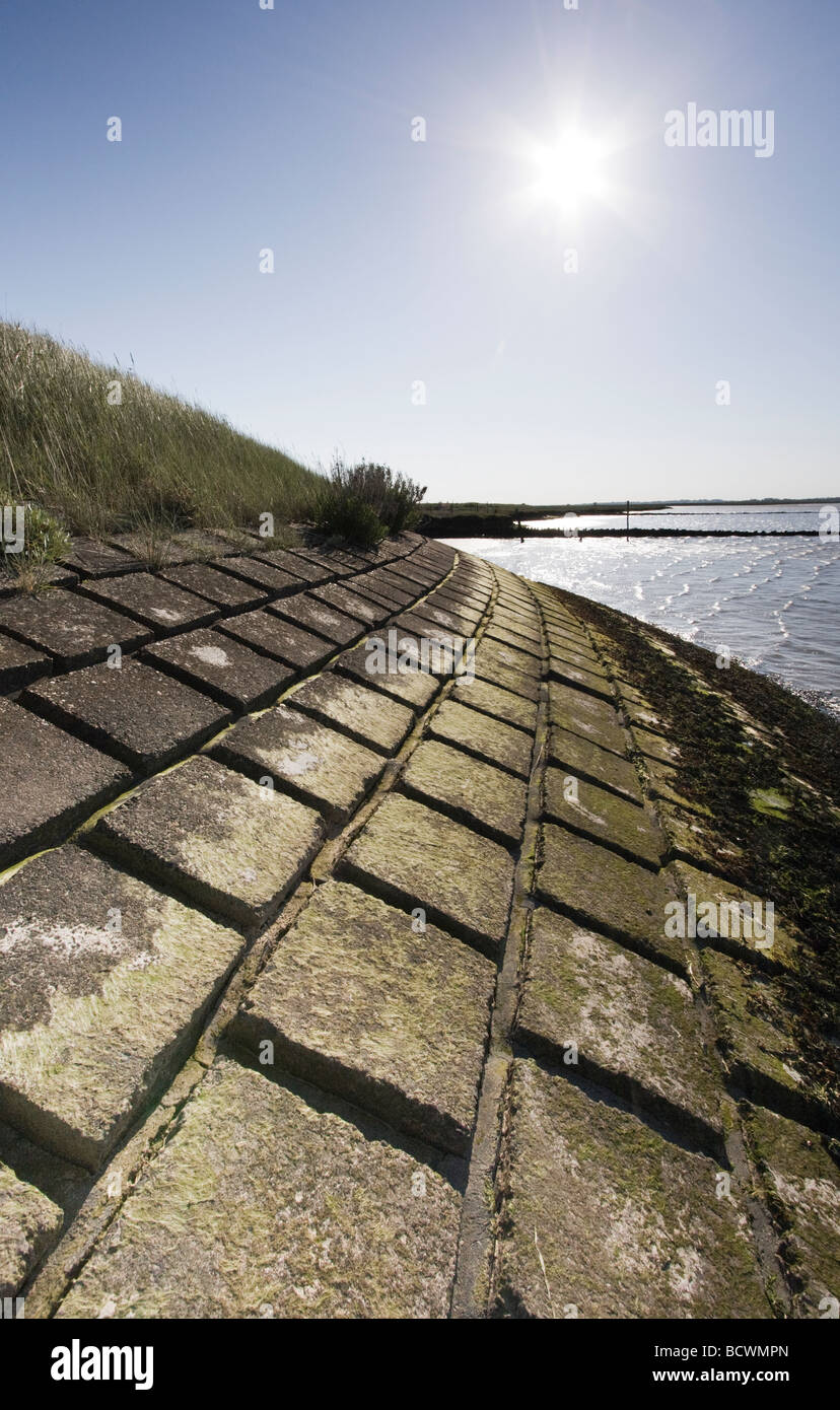 A View of the sea wall at East Mersea, with the sun in the sky Stock ...