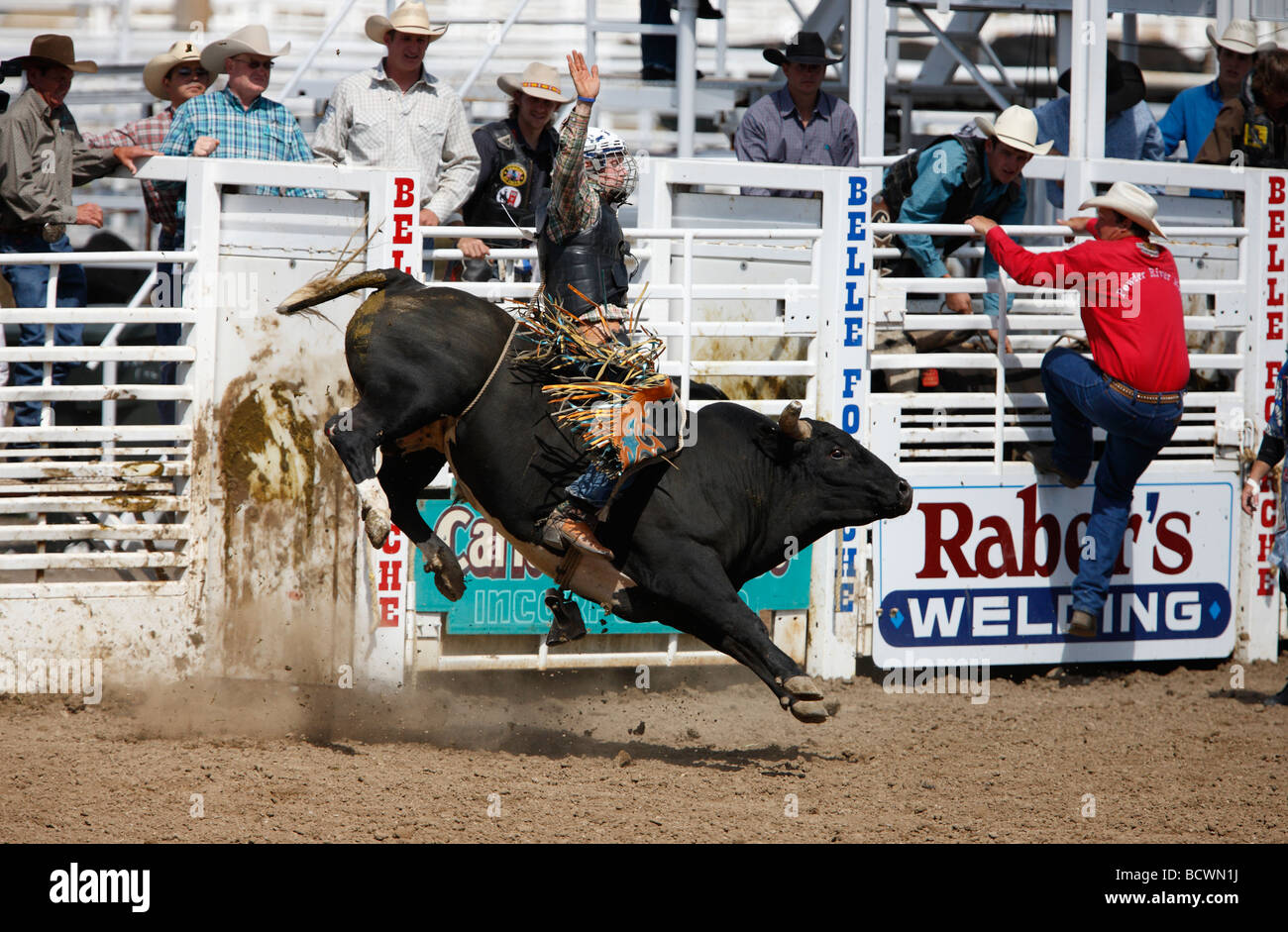 Bull riding competition at the 90th annual Black Hills Roundup rodeo in ...