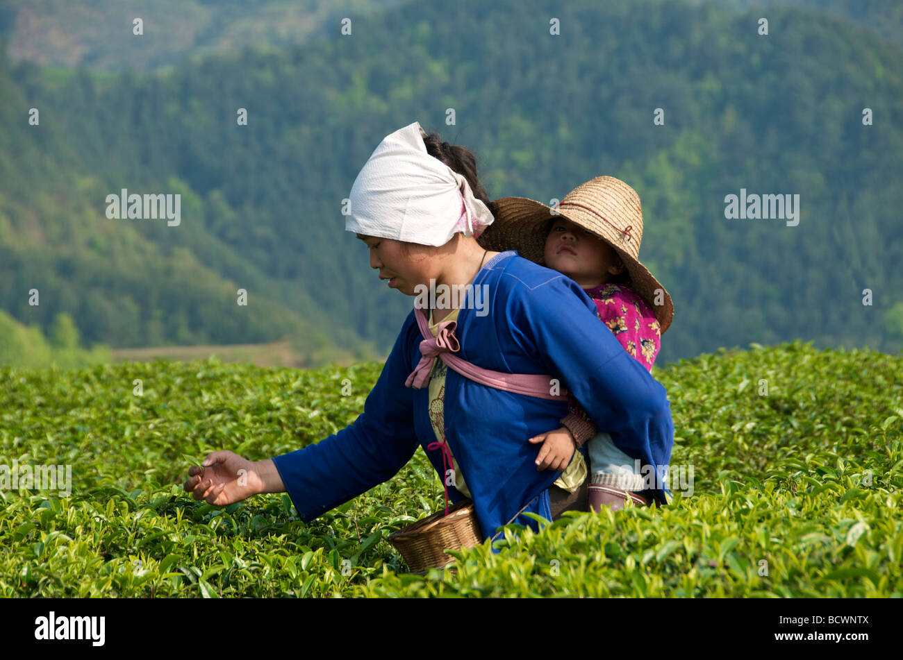 Chinese woman carrying baby on hi-res stock photography and images - Alamy