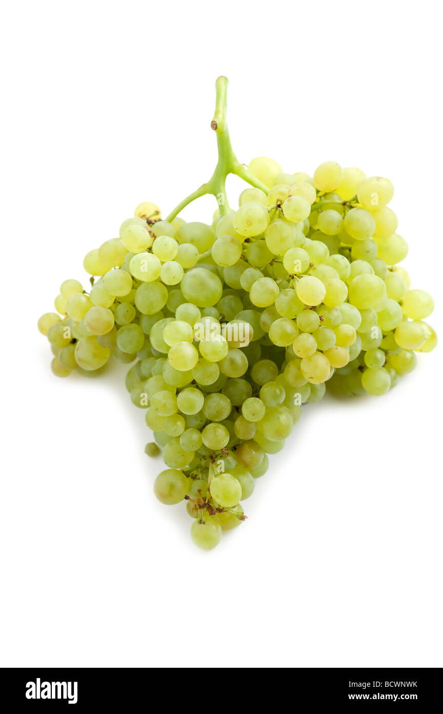 Green grapes hi-res stock photography and images - Alamy