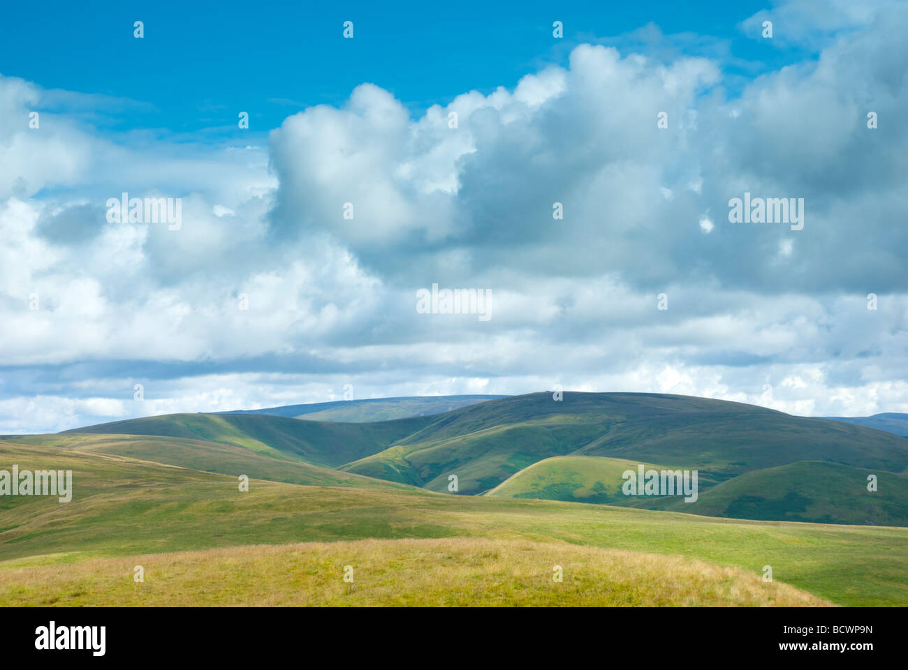 Cheviots High Resolution Stock Photography and Images - Alamy