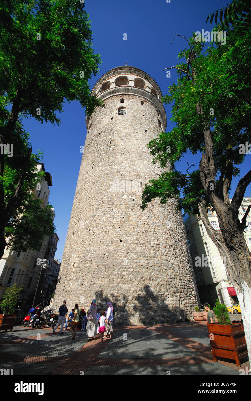 Turkey looking up hi-res stock photography and images - Alamy