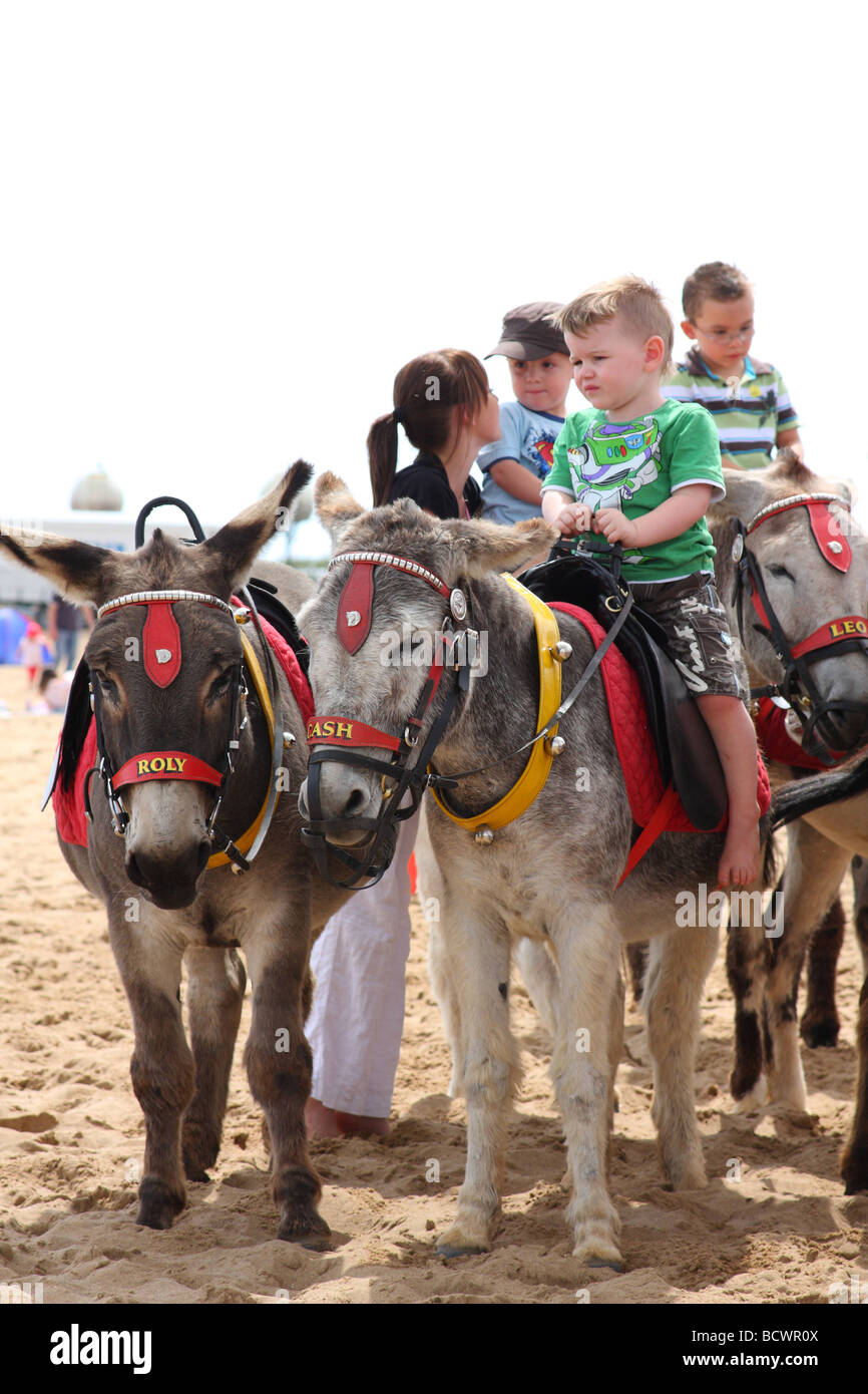 Skegness Beach Donkey Ride Stock Photos & Skegness Beach Donkey Ride ...