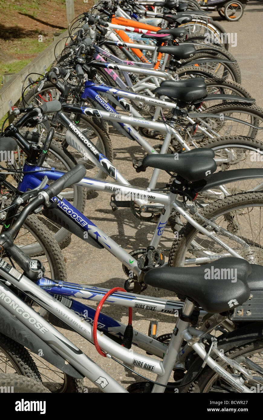 A line of bicycles in a bike park Stock Photo - Alamy