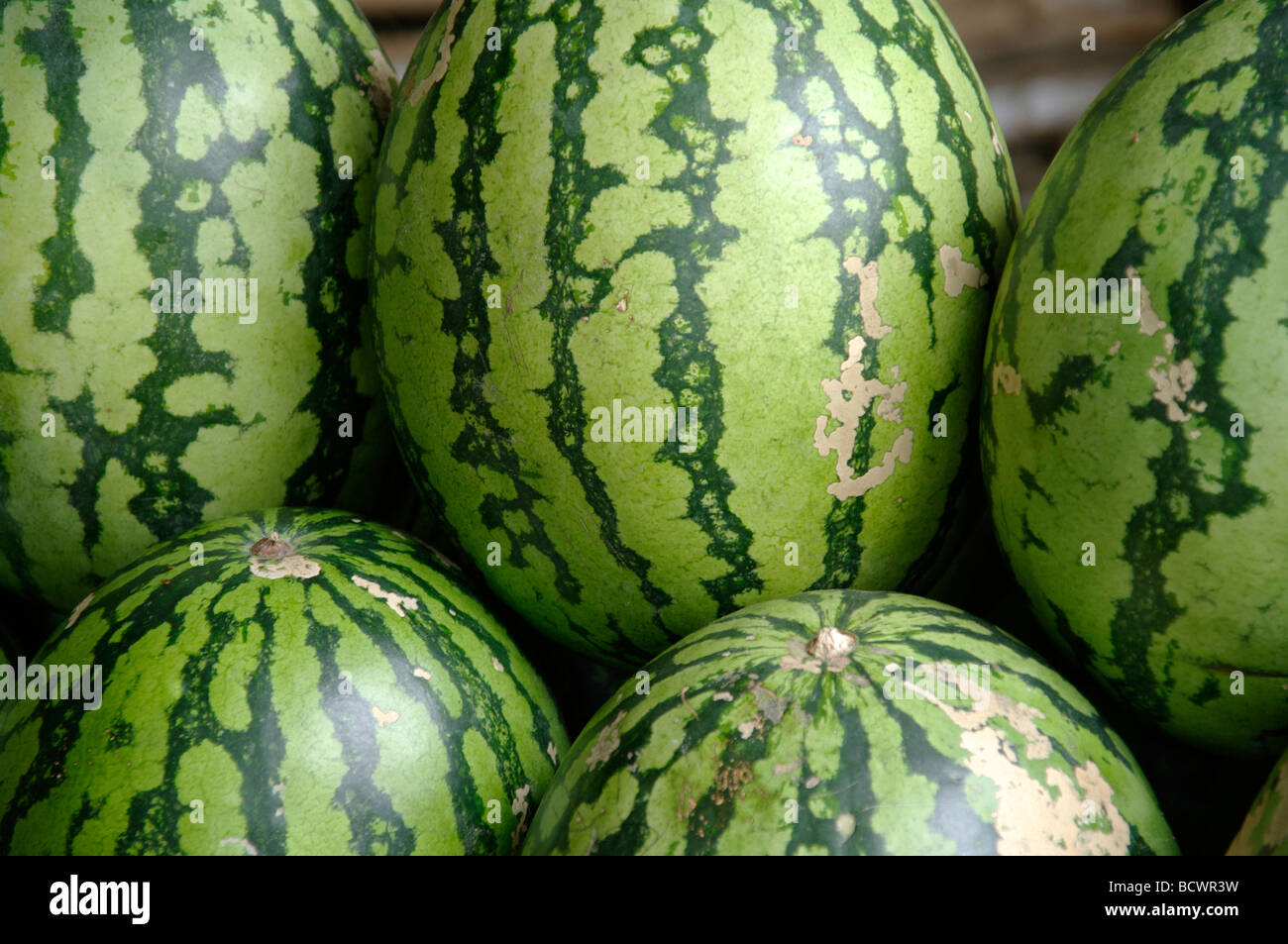 Watermelons on display at a roadside stall, North Luzon, Philippines ...