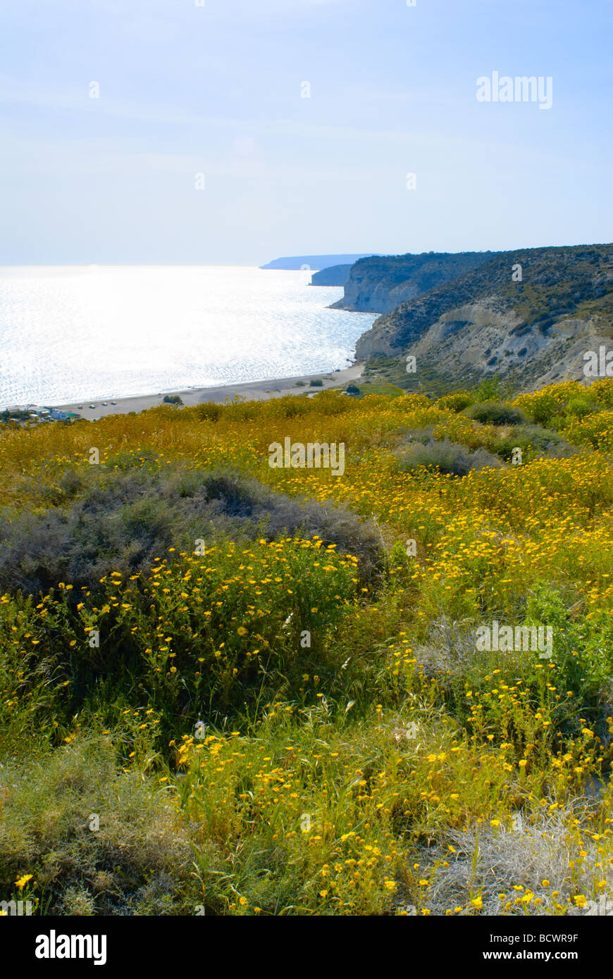 Beautiful Nature of Cyprus, Pafos Stock Photo - Alamy