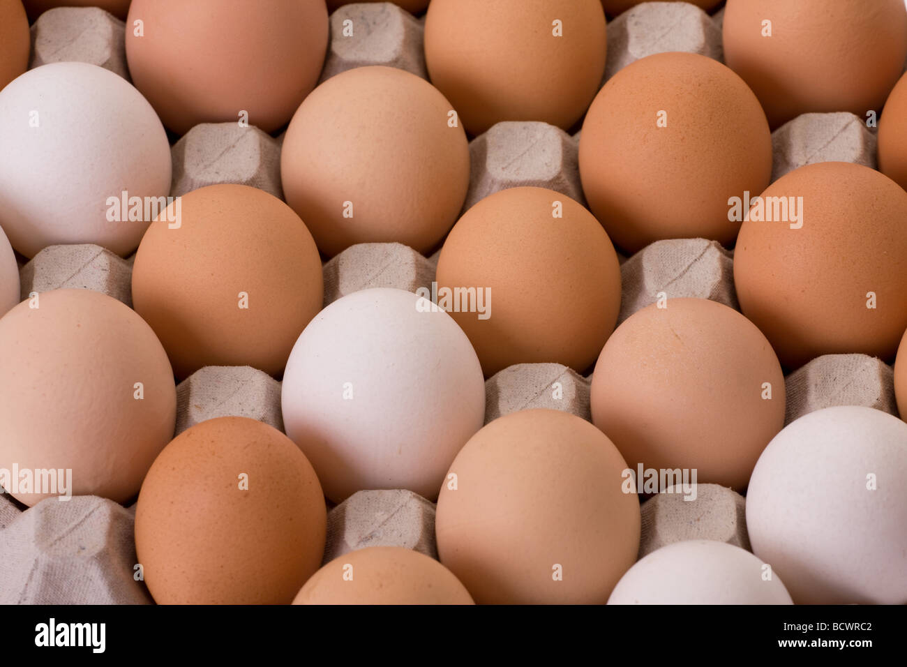 eggs in egg carton Stock Photo - Alamy