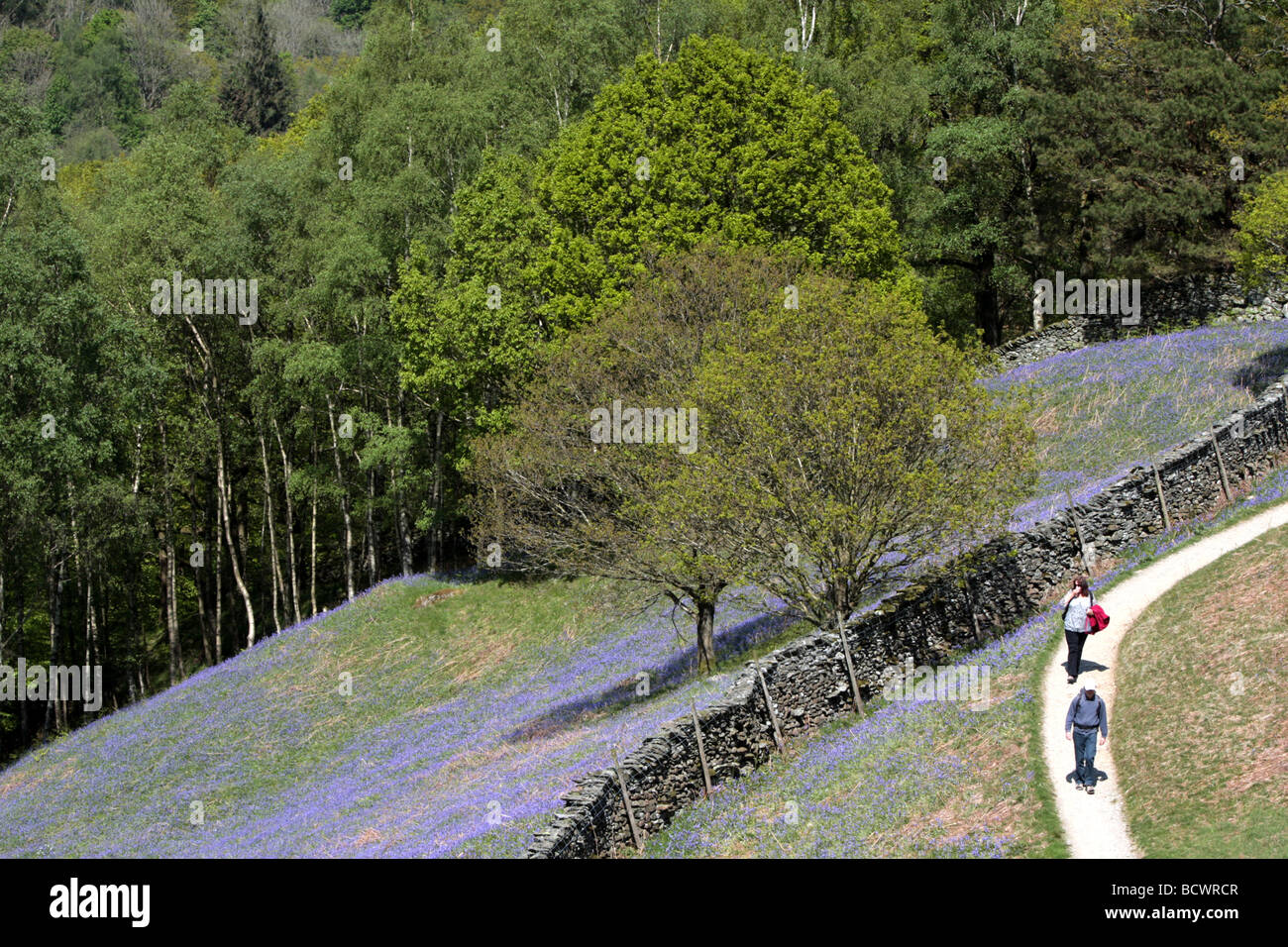 Walkers in the landscape hi-res stock photography and images - Alamy