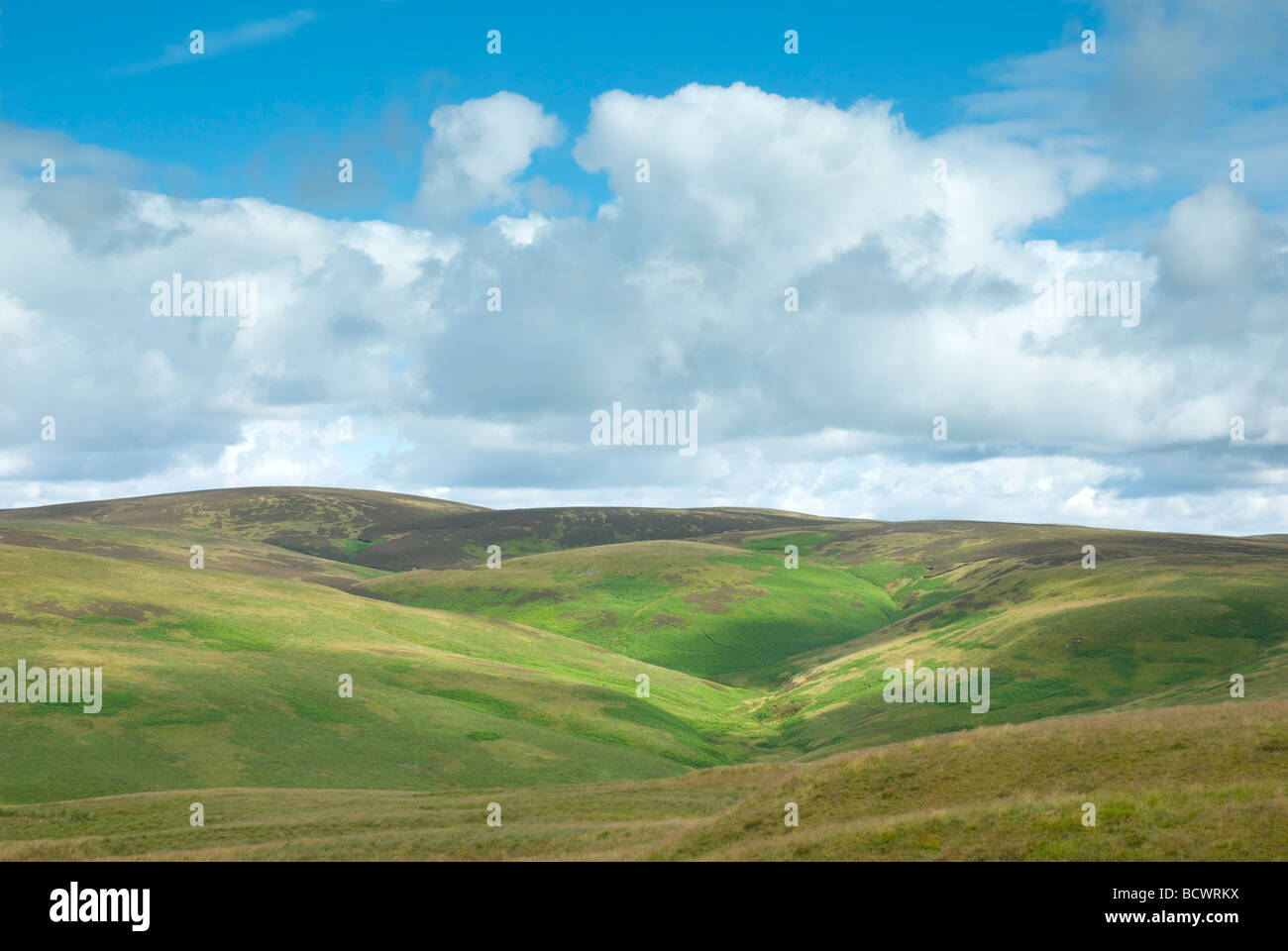 The Cheviot Hills on the Otterburn Ranges, Northumberland National Park ...