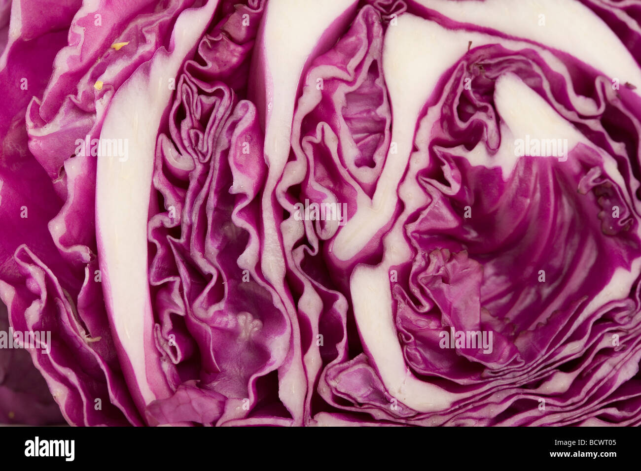 Simple veg hi-res stock photography and images - Alamy