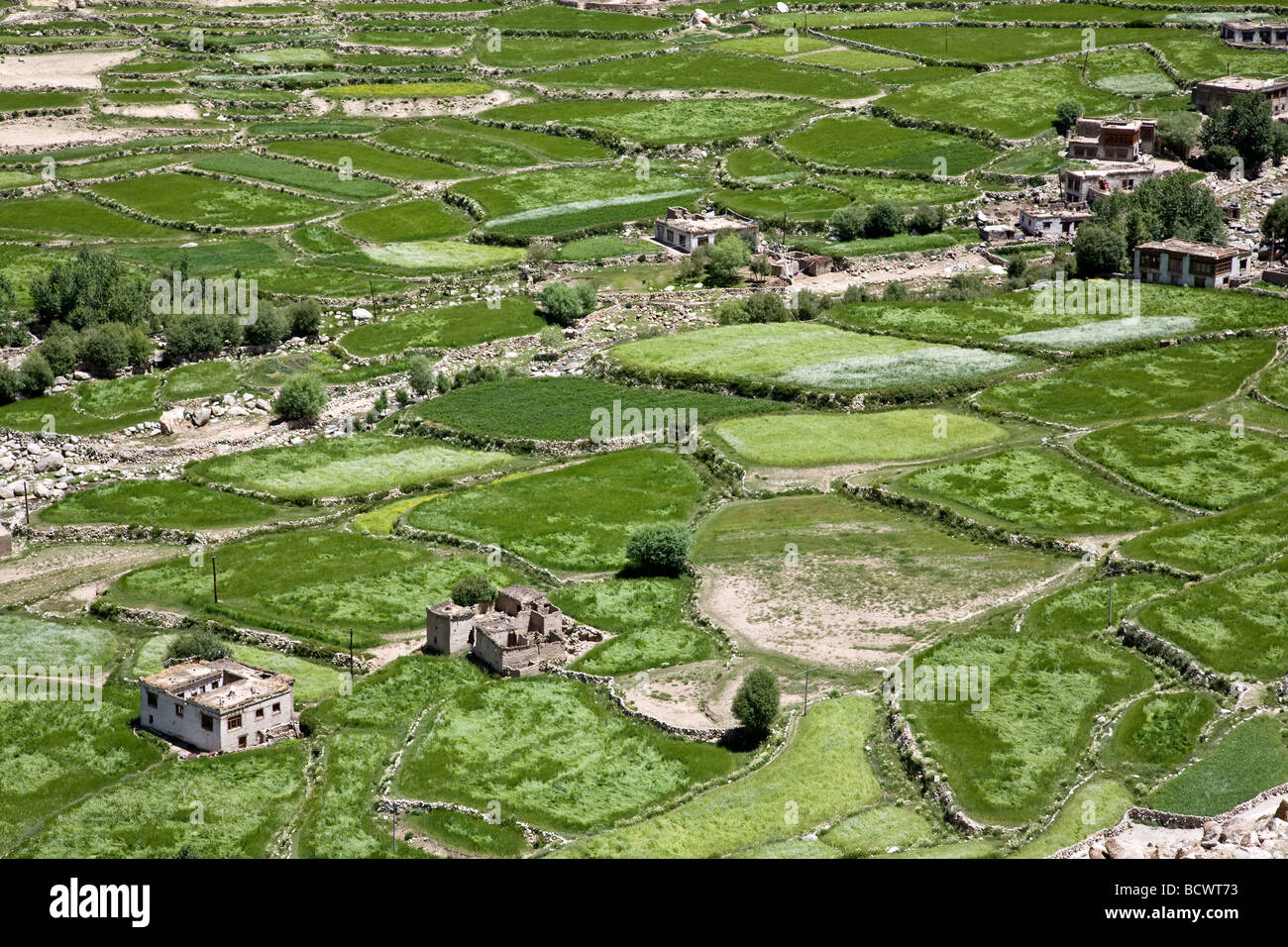 Sakti village ladakh india hi-res stock photography and images - Alamy