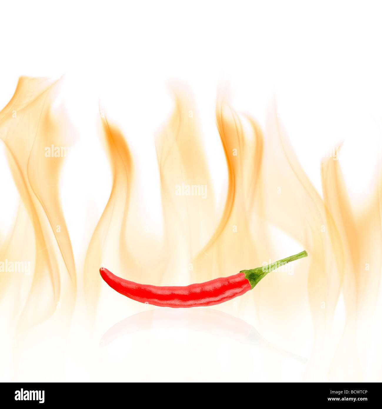 Red chilli pepper with reflection and fire background Stock Photo - Alamy