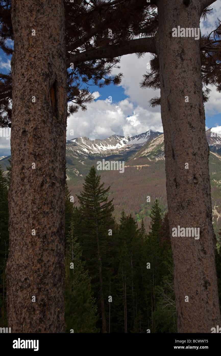 Never Summer Mountain Range in Rocky Mountain National Park Stock Photo ...