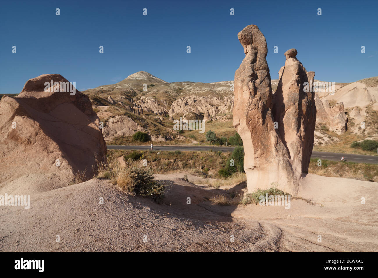 Camel shaped hi-res stock photography and images - Alamy