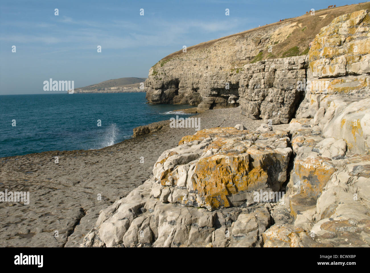 Dancing ledge, near swanage hi-res stock photography and images - Alamy