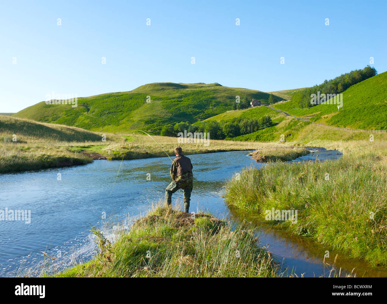 Angler on River Coquet, Cheviot Hills, on Otterburn Ranges ...