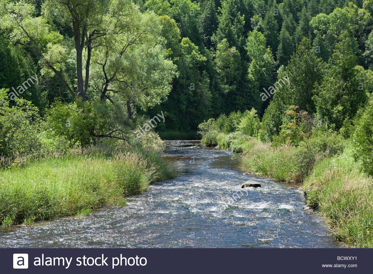 Credit River Ontario High Resolution Stock Photography and Images - Alamy