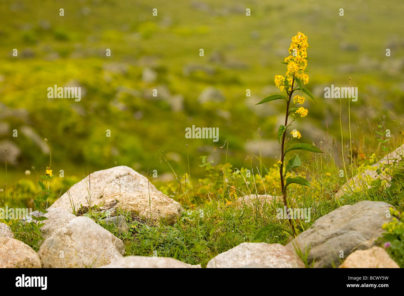 Kachkar hi-res stock photography and images - Alamy
