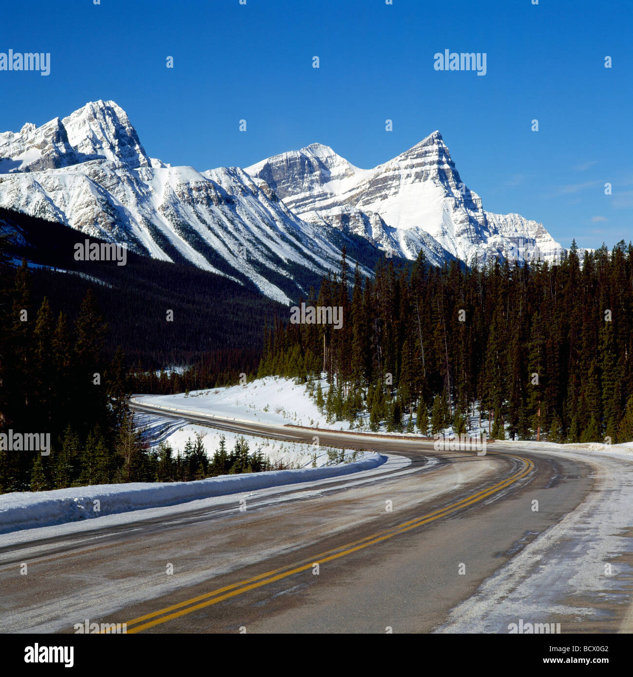 Parks winding paths hi-res stock photography and images - Alamy
