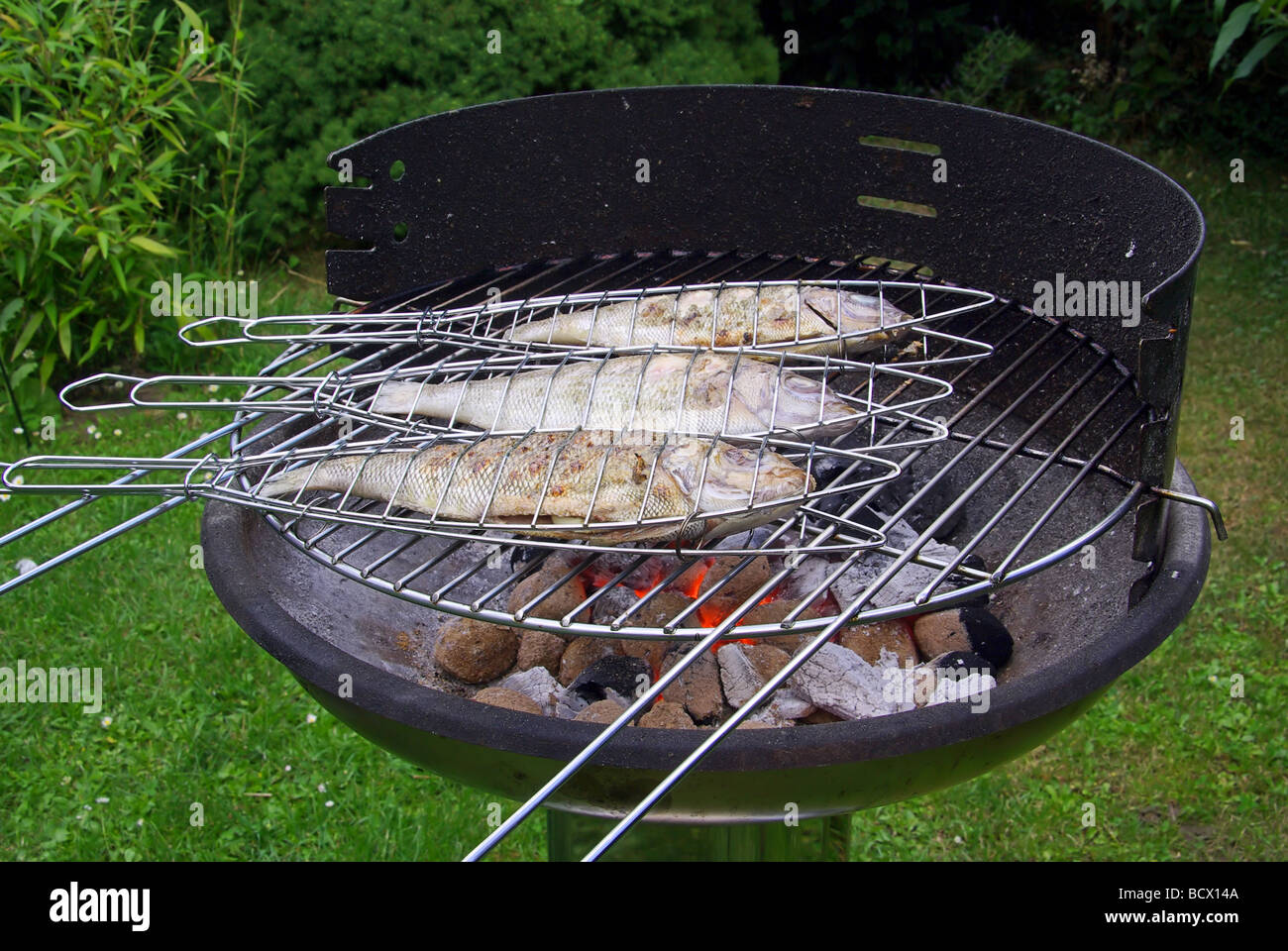 Grilled dorade hi-res stock photography and images - Alamy