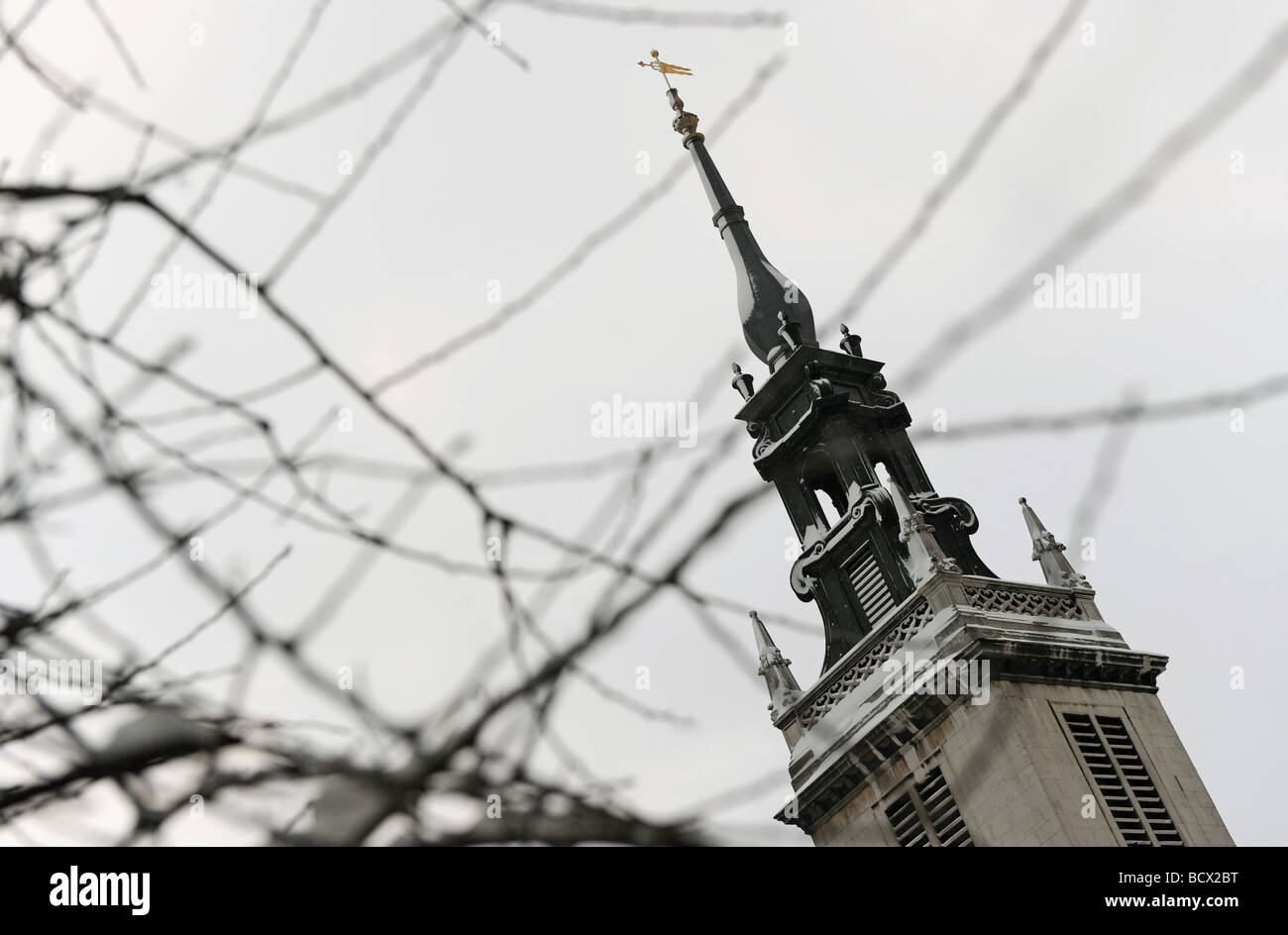 The spire of St Paul's Cathedral, London and trees covered in snow ...
