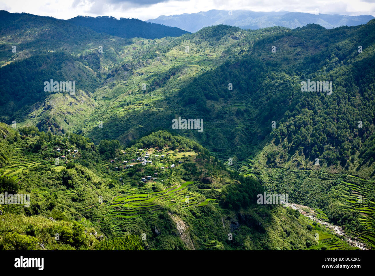 A view over rice terraces in northern Luzon in the Philippines Stock ...