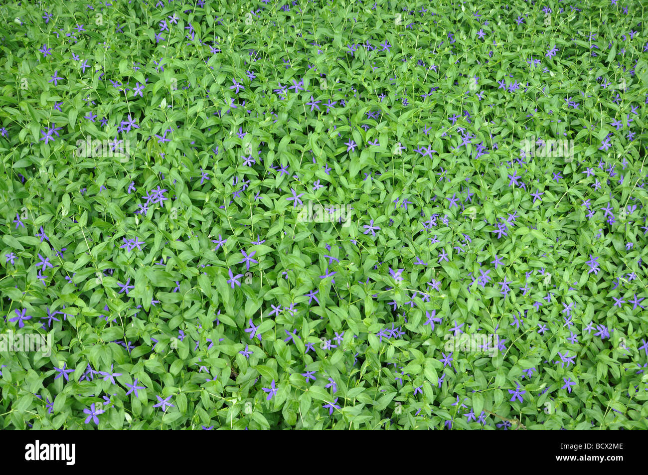 Down house darwin hi-res stock photography and images - Alamy