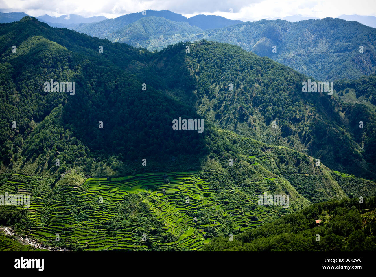 A view over rice terraces in northern Luzon in the Philippines Stock ...