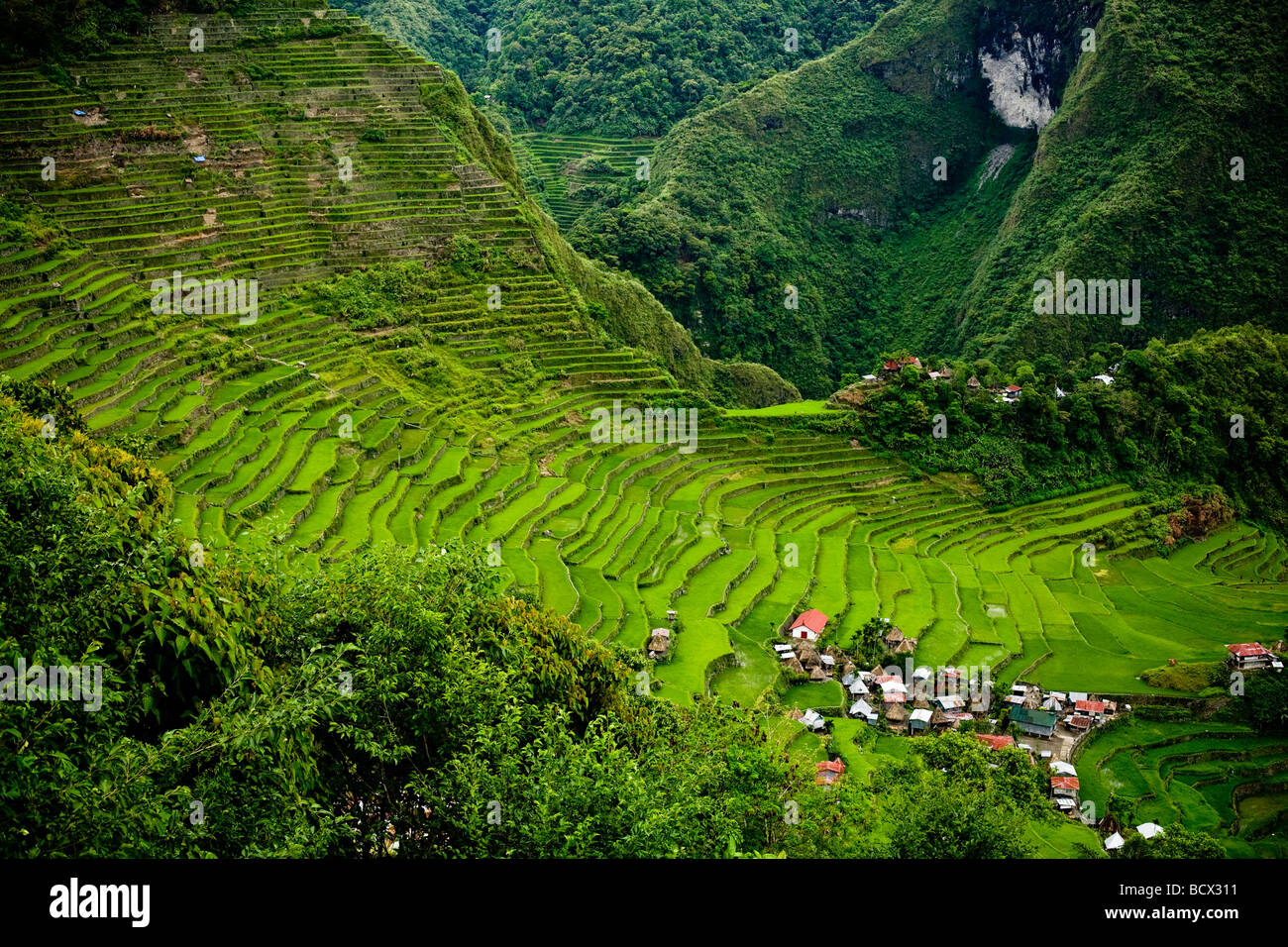 A view over the famous rice terraces of northern Luzon in the ...