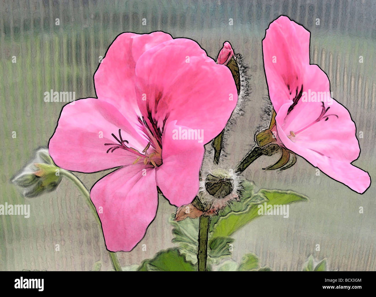 Fluted flowers hi-res stock photography and images - Alamy