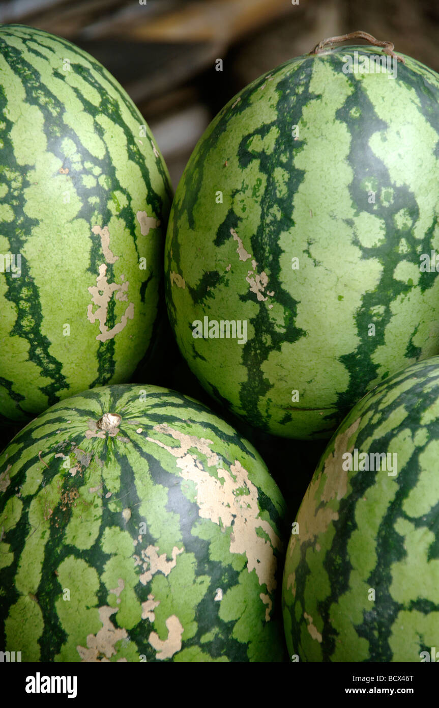 Watermelons on display at a roadside stall, North Luzon, Philippines ...