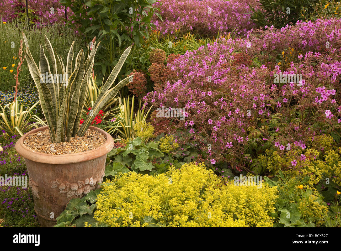 Garden Flower Border and Pot Stock Photo - Alamy