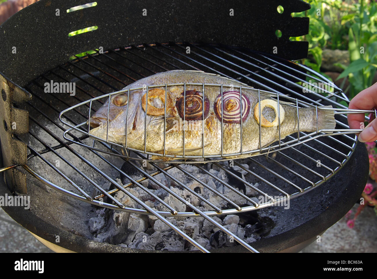 Grilled dorade hi-res stock photography and images - Alamy