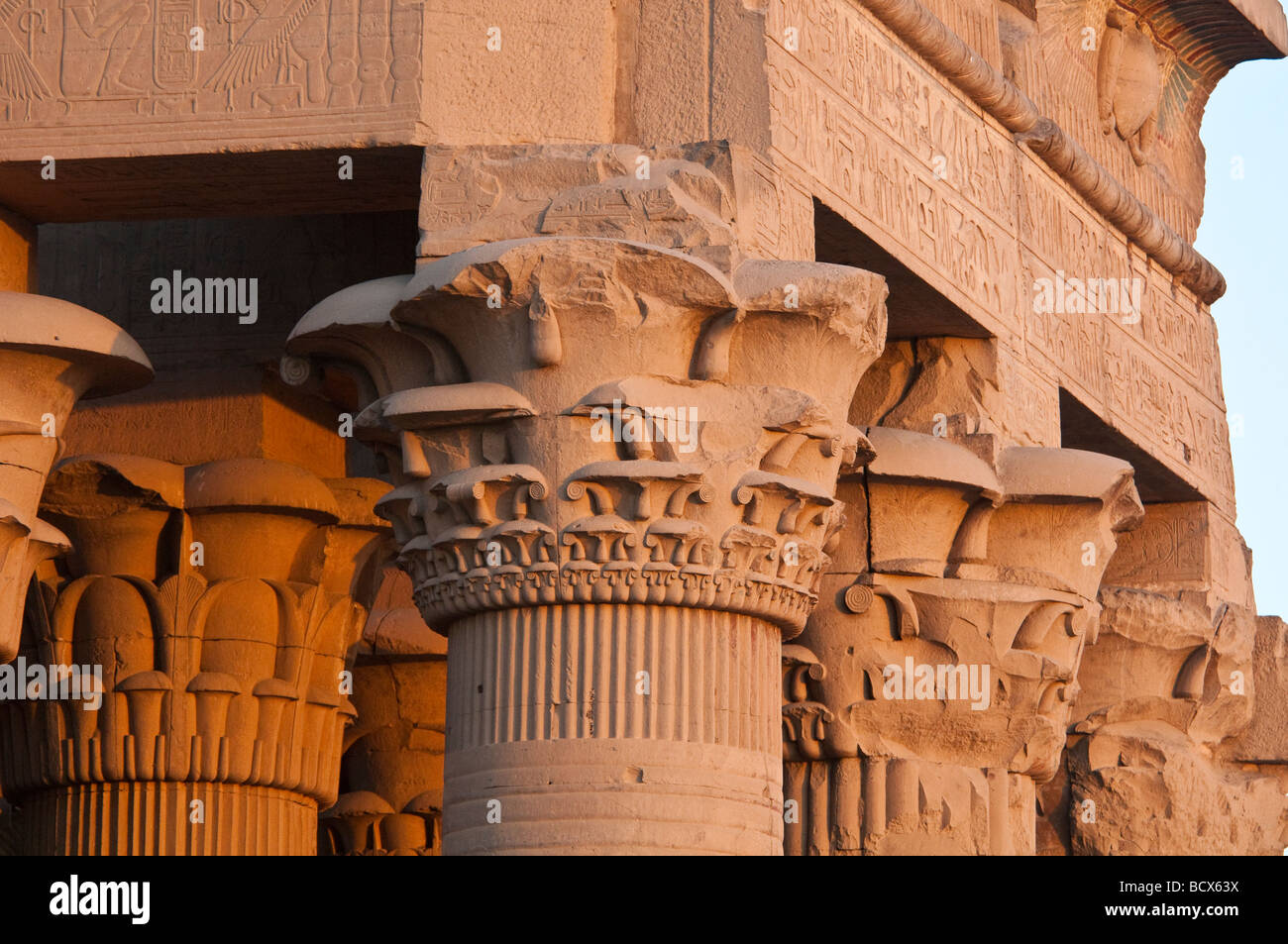 Egypt Kom Ombo Temple closeup of papyrus columns holding up roof Stock ...