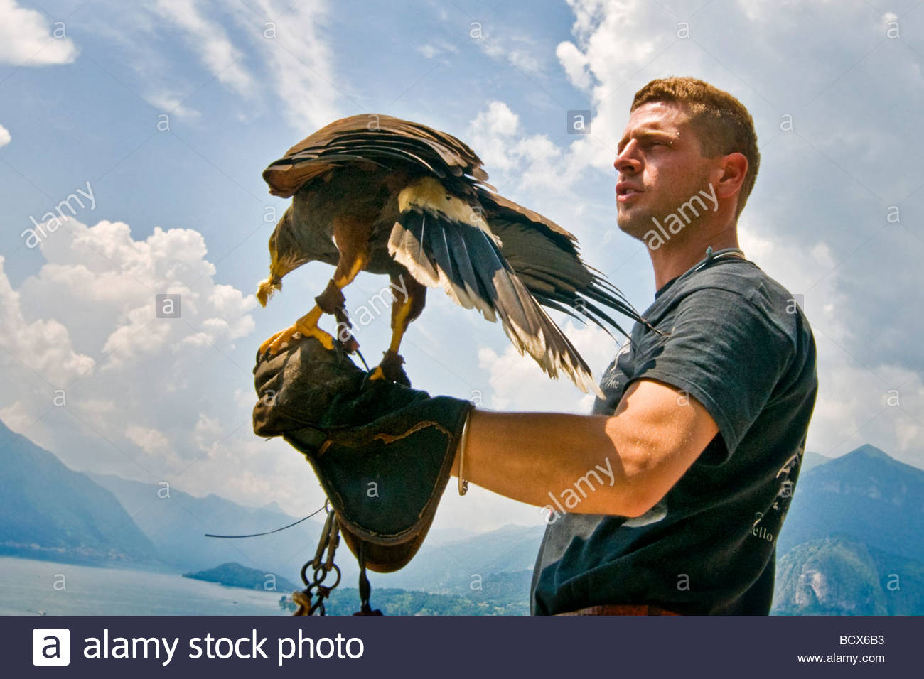 Falconers Stock Photos & Falconers Stock Images - Alamy
